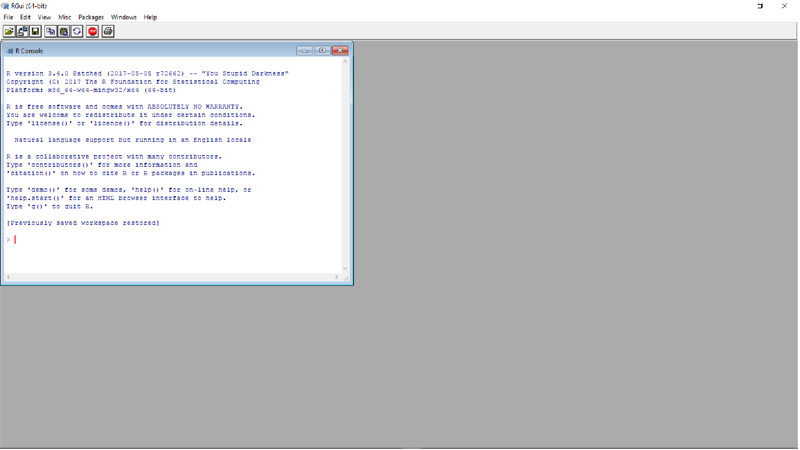 The Native R Environment